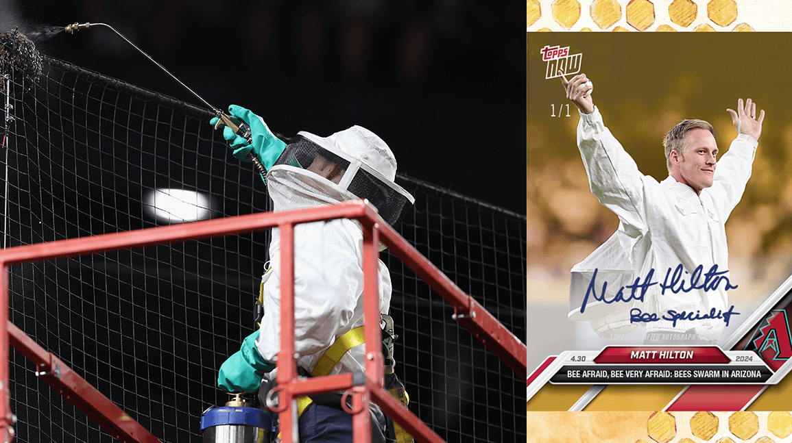 Diamondbacks beekeeper gets Topps card as part of newfound fame | cllct